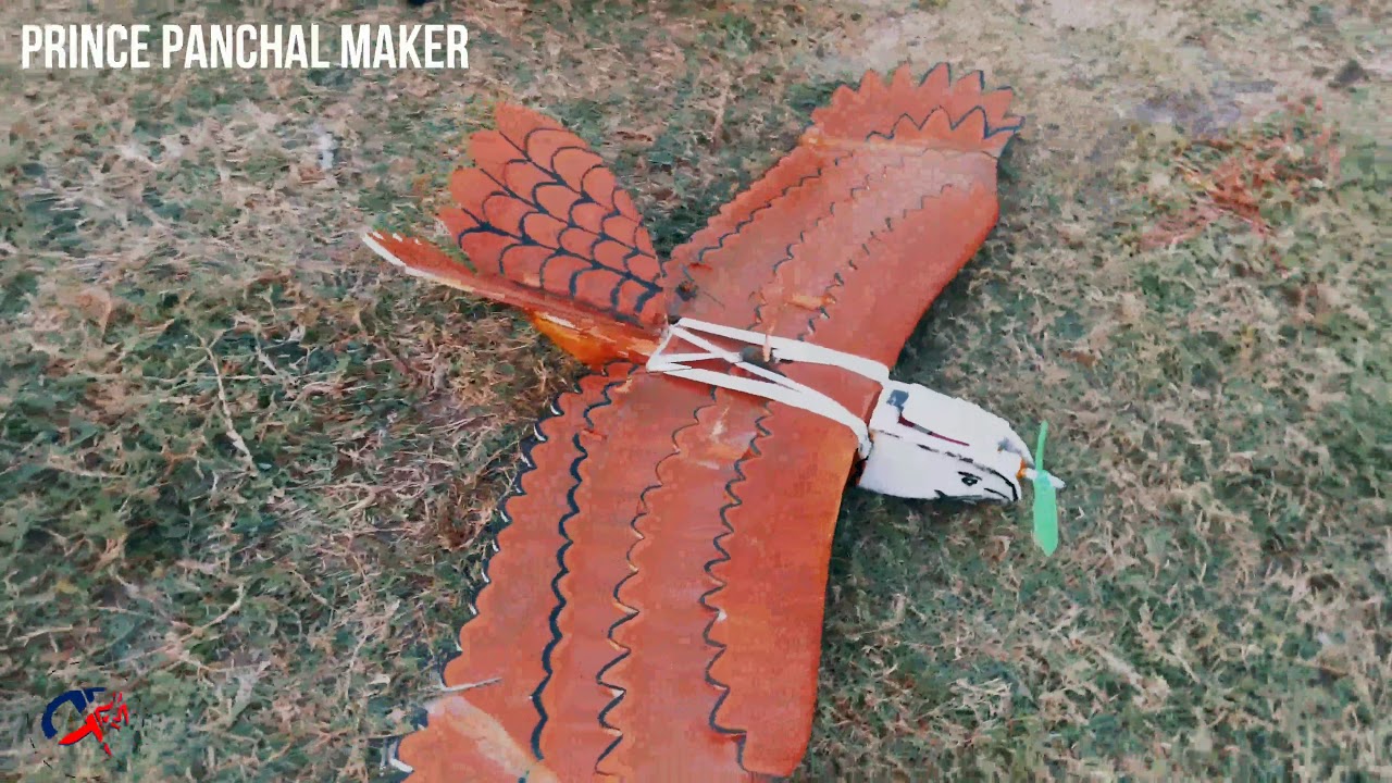 RC Bird Plane - YouTube