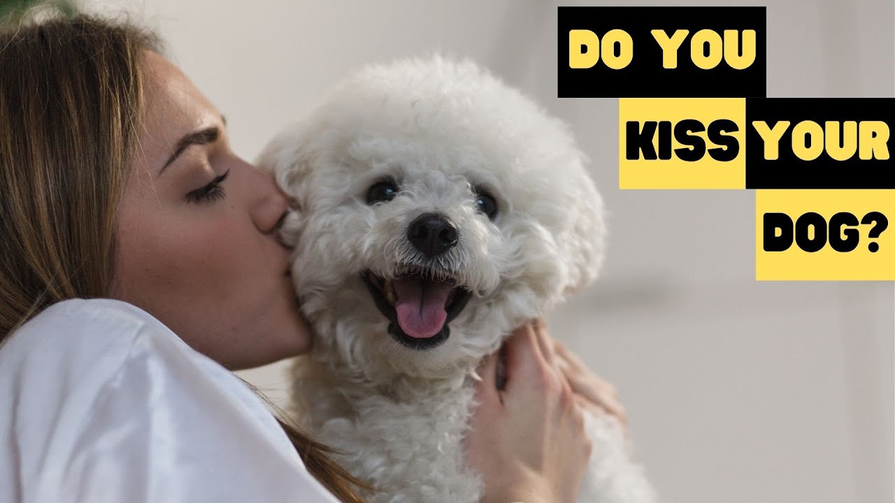 Kissing Your Dog | What Your Furry Friend Really Thinks! - YouTube