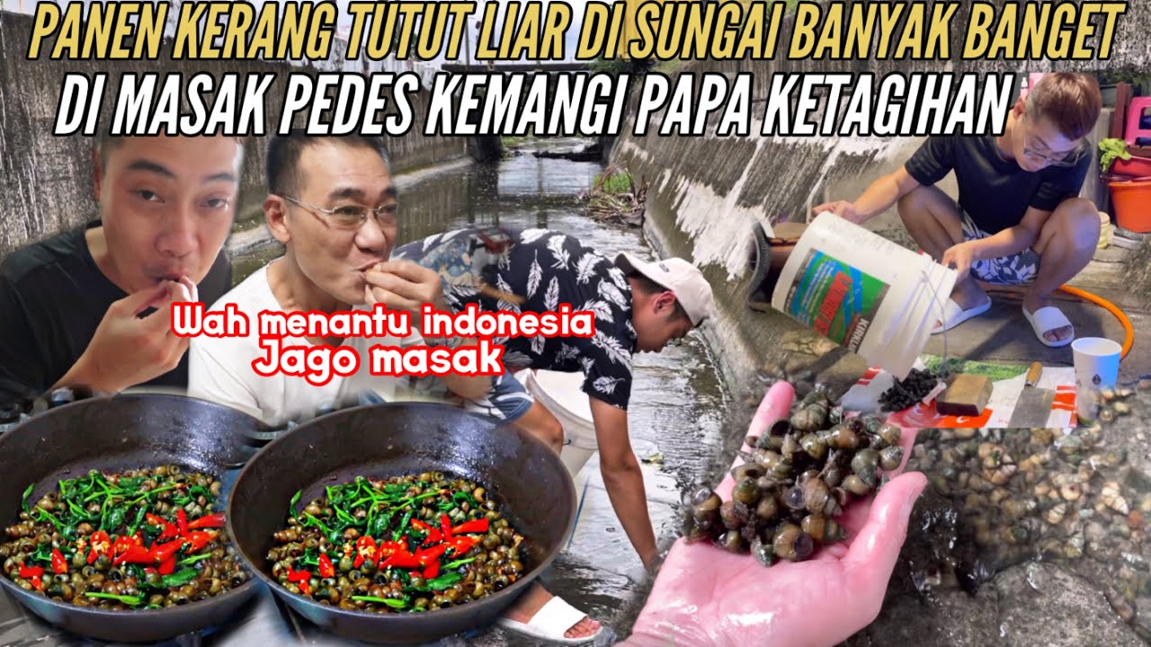 HEBOH BERBURU KERANG TUTUT DI SUNGAI LANGSUNG DI OLAH DAN DIBAWA KE ...