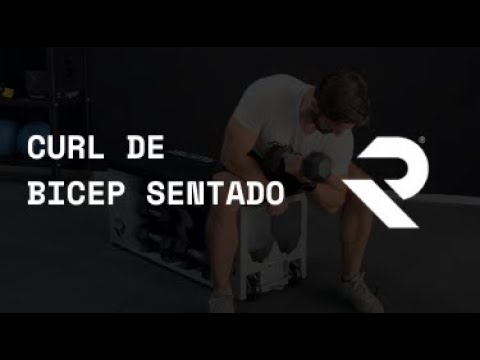 Curl de bicep sentado | Ejercicios Mancuernas - YouTube