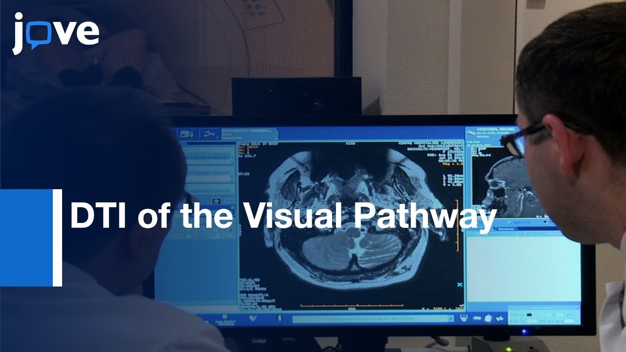 DTI of the Visual Pathway: White Matter Tracts and Cerebral Lesions ...