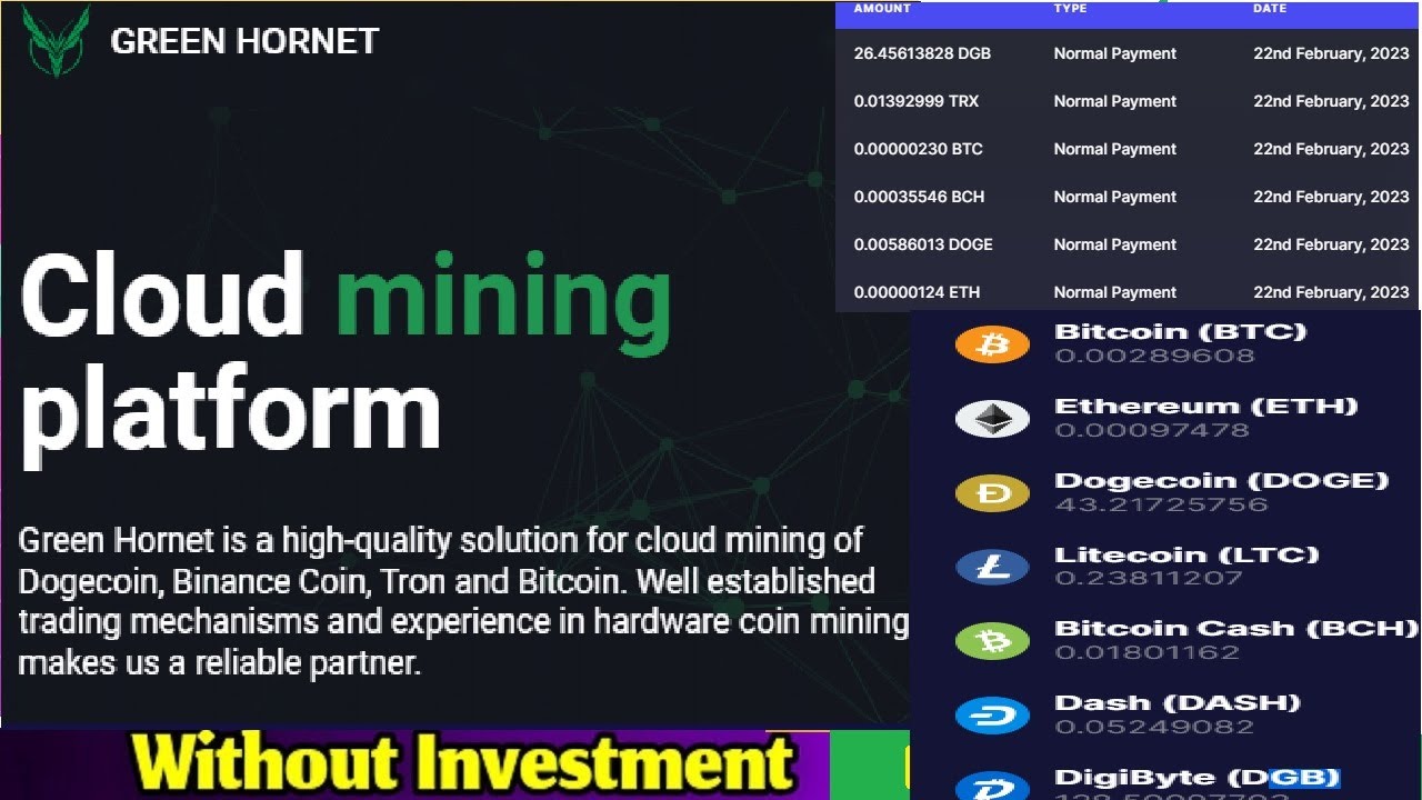 ghornetpro Fresh Multicoin Cloud mining 2023 || New free cloud mining website | Review - YouTube