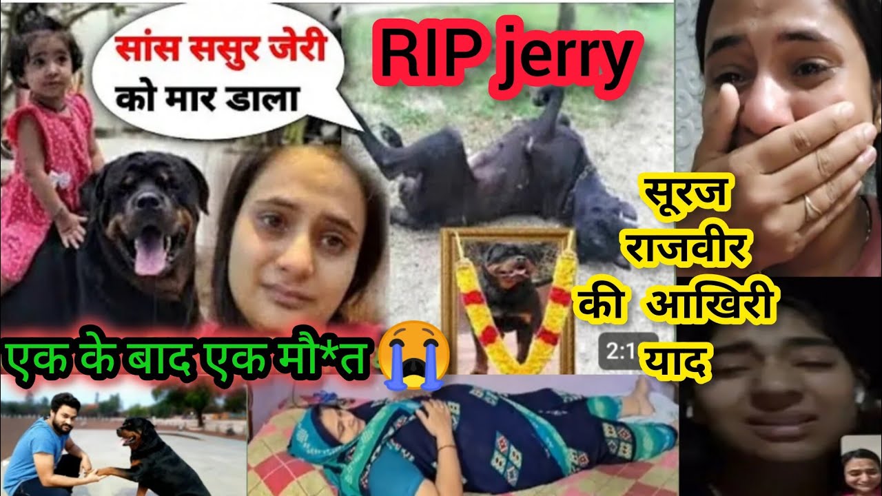 RIP Jerry 😭The Rott सूरज की आखिरी याद JERRY अब इस दुनिया में नहीं रहा😭 ...