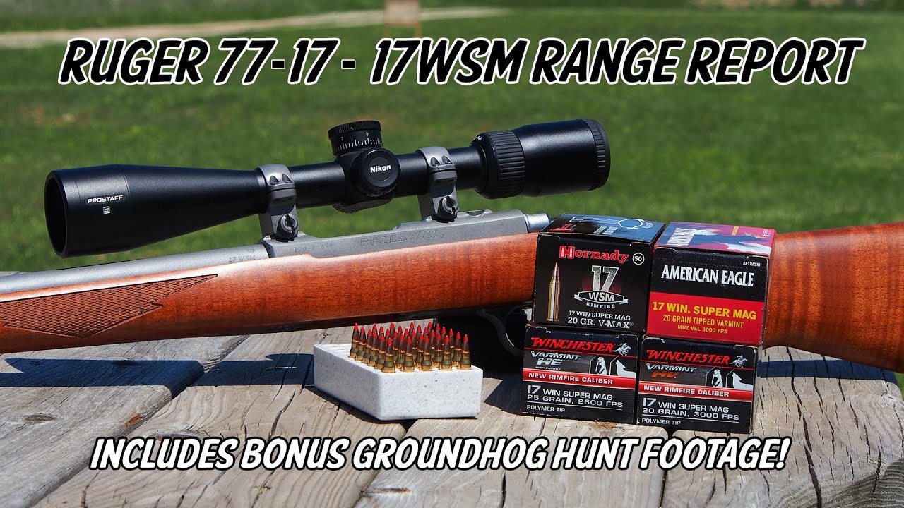 17wsm Rifles