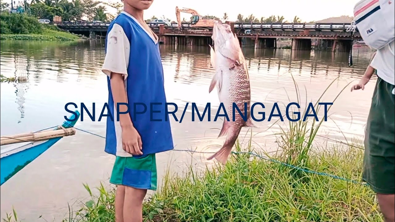 MANGAGAT/SNAPPER New Specie Unlocked. Grabe, Ang lakas pala talaga ...