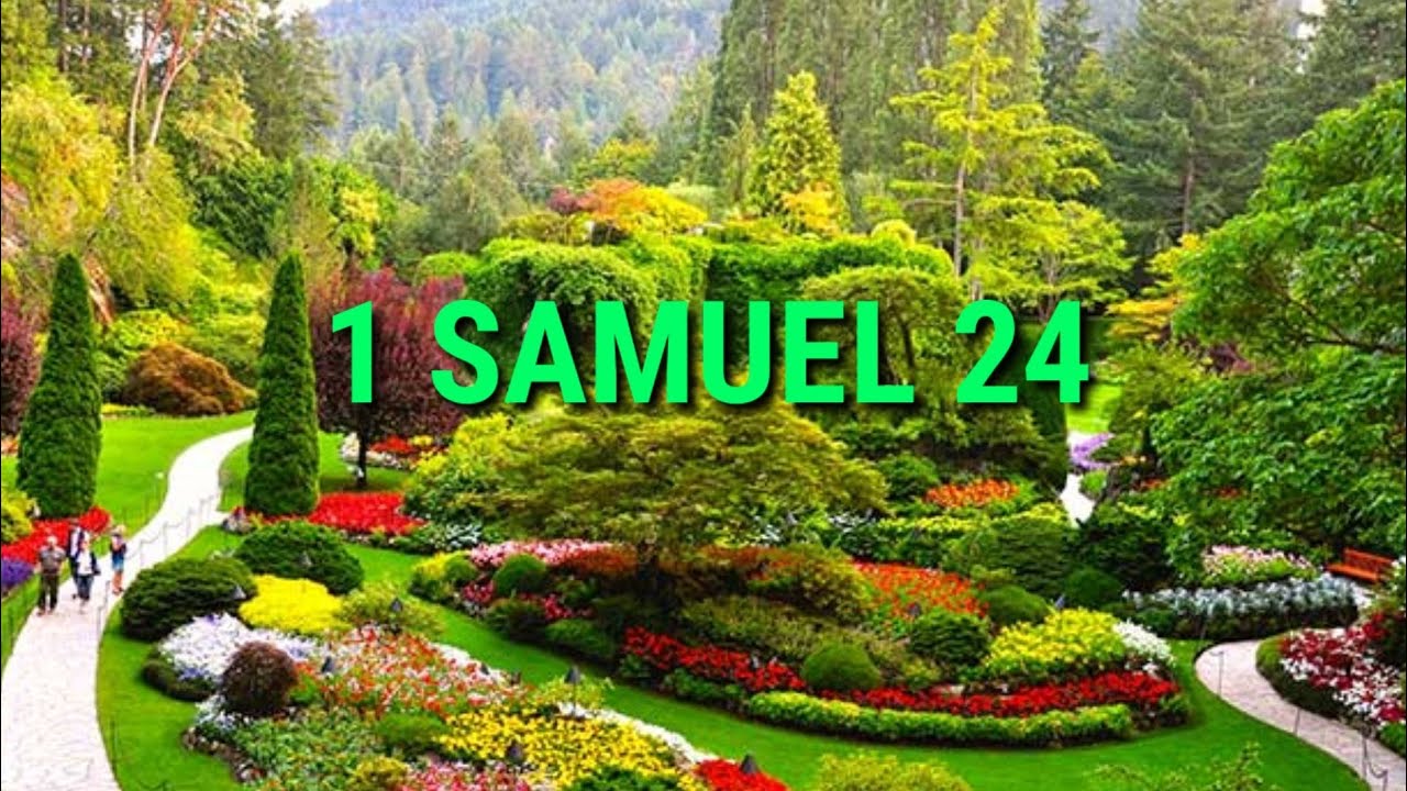 1 Samuel 24 - YouTube