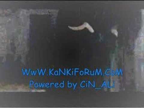 Amatör Sarkı Elveda Deme