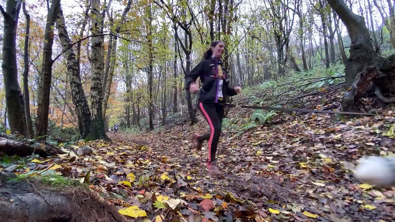 Howling Bull V CaniX Race - YouTube