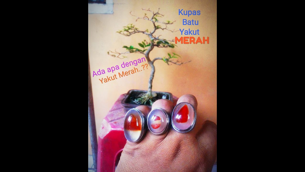 KUPAS TUNTAS BATU YAKUT MERAH - YouTube