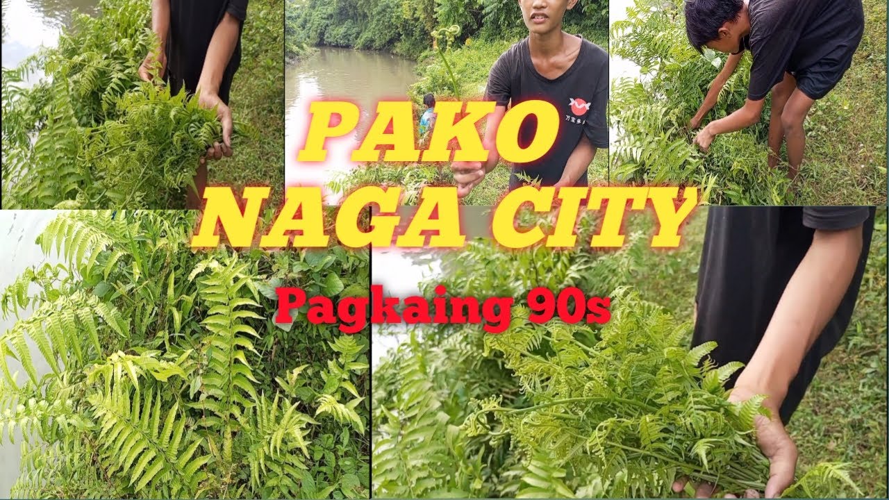 PAKO | PAGKAING 90s - YouTube