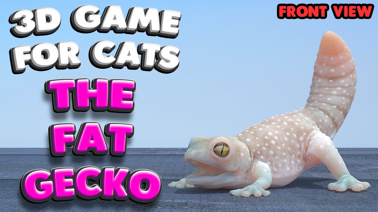 3D game for cats | The fat gecko (front view) | 4K, 60 fps, stereo ...