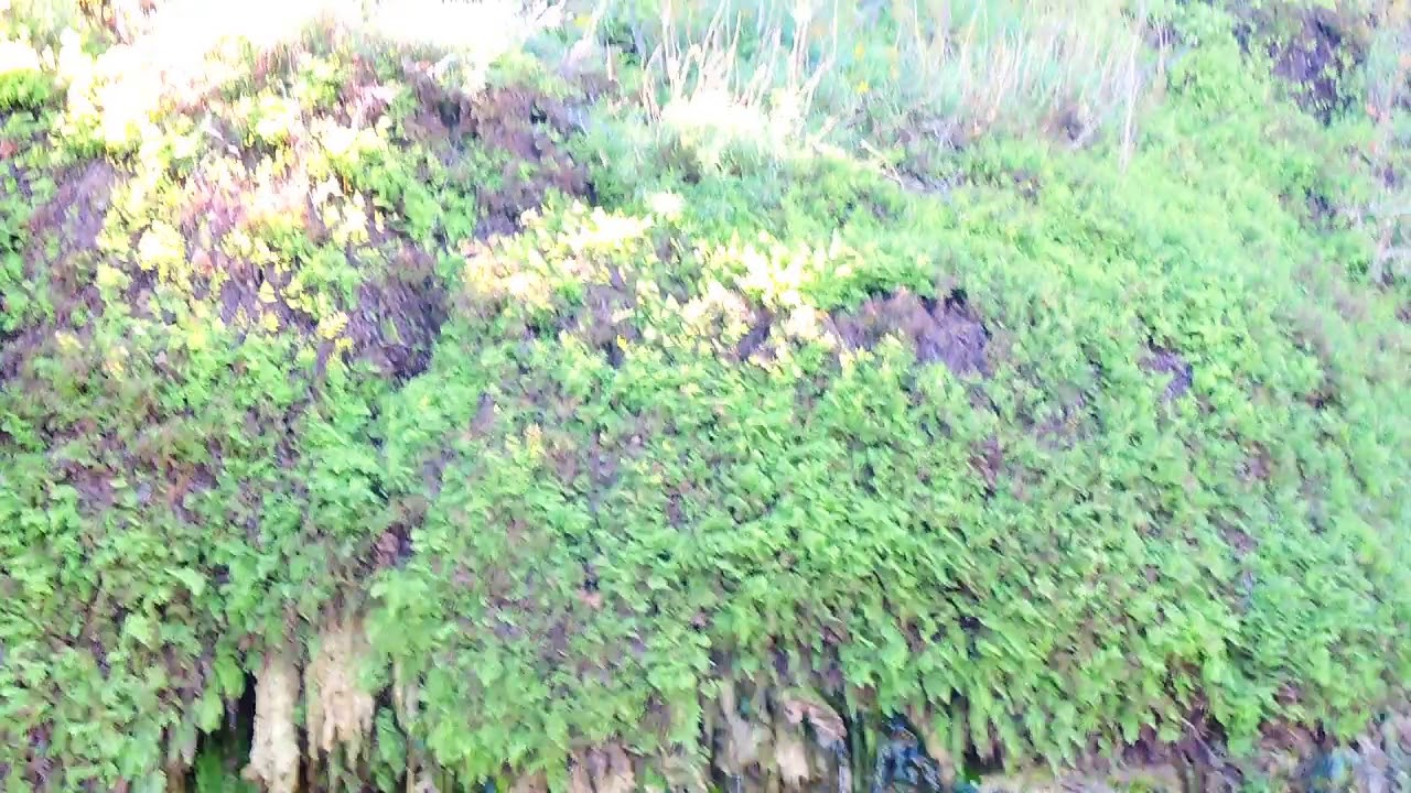crockett gardens falls on lake georgetown, texas 102917 - YouTube