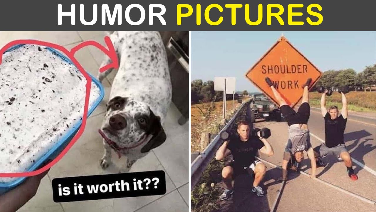 Humor Pictures That’ll Make You Laugh Before Your Coffee Kicks In ...