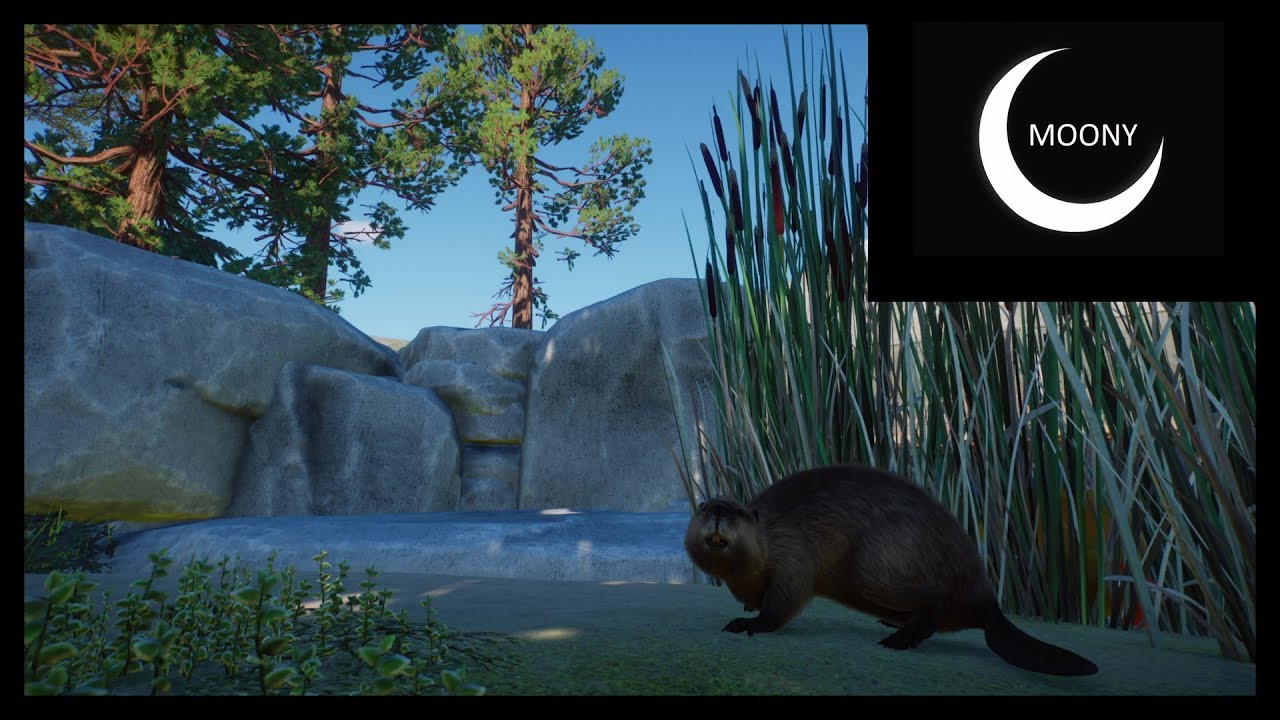 American Beaver Habitat Speedbuild | Wyoming Zoo Ep2 | Planet Zoo - YouTube