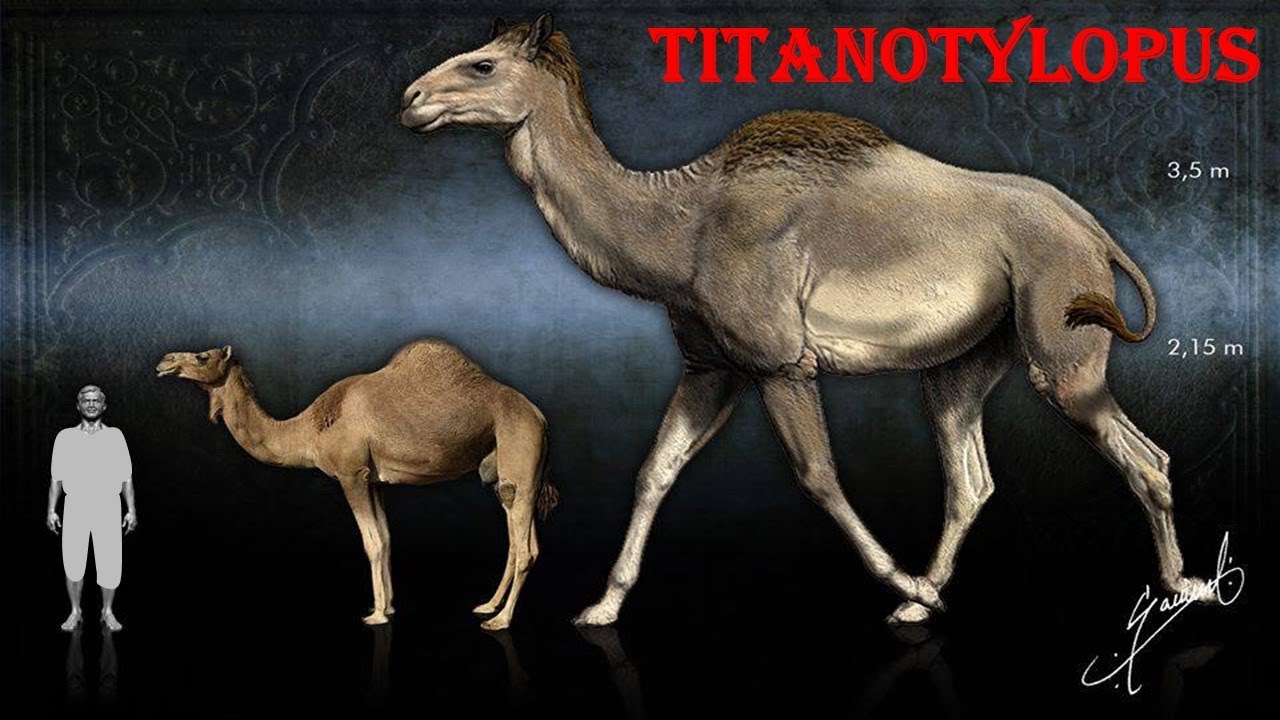 titanotylopus - YouTube