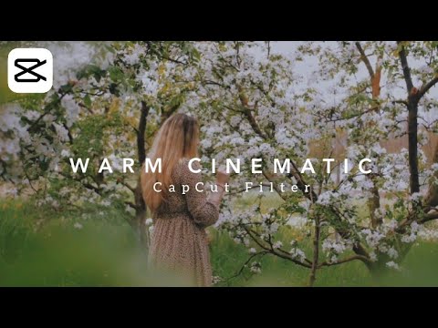 warm cinematic capcut filter tutorial | cinematic capcut filter editing ...