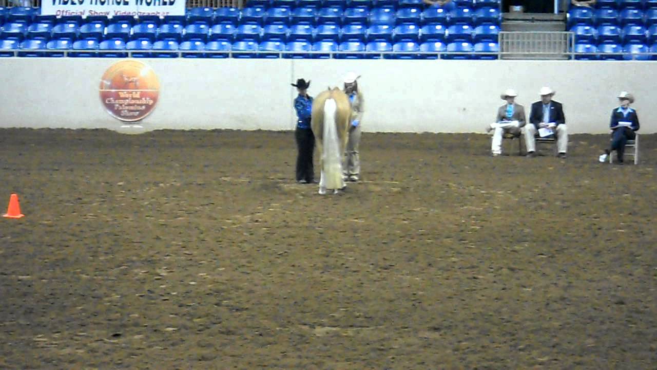 2011 PHBA world show Amatuer showmanship - YouTube