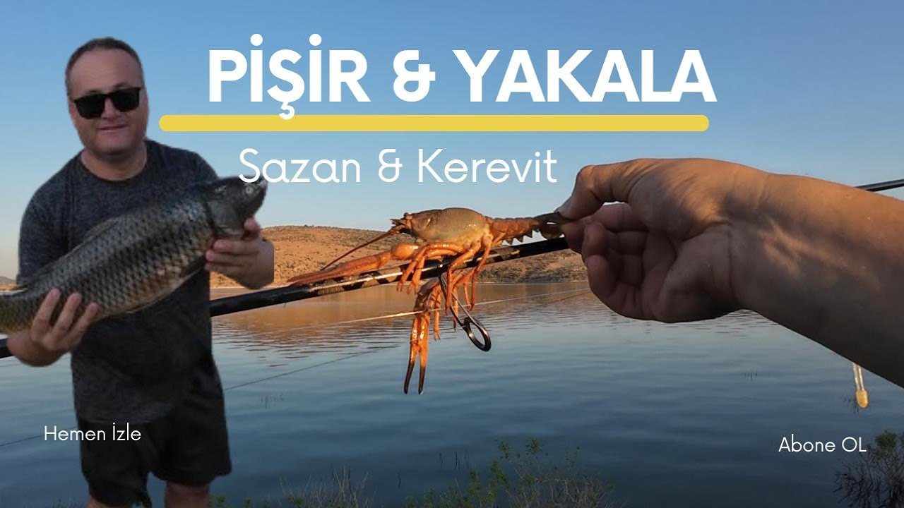 Yakala Pişir Sazan Avı Taktik ve Teknikleri/ Tam Keyif Yapmalık Mera ...