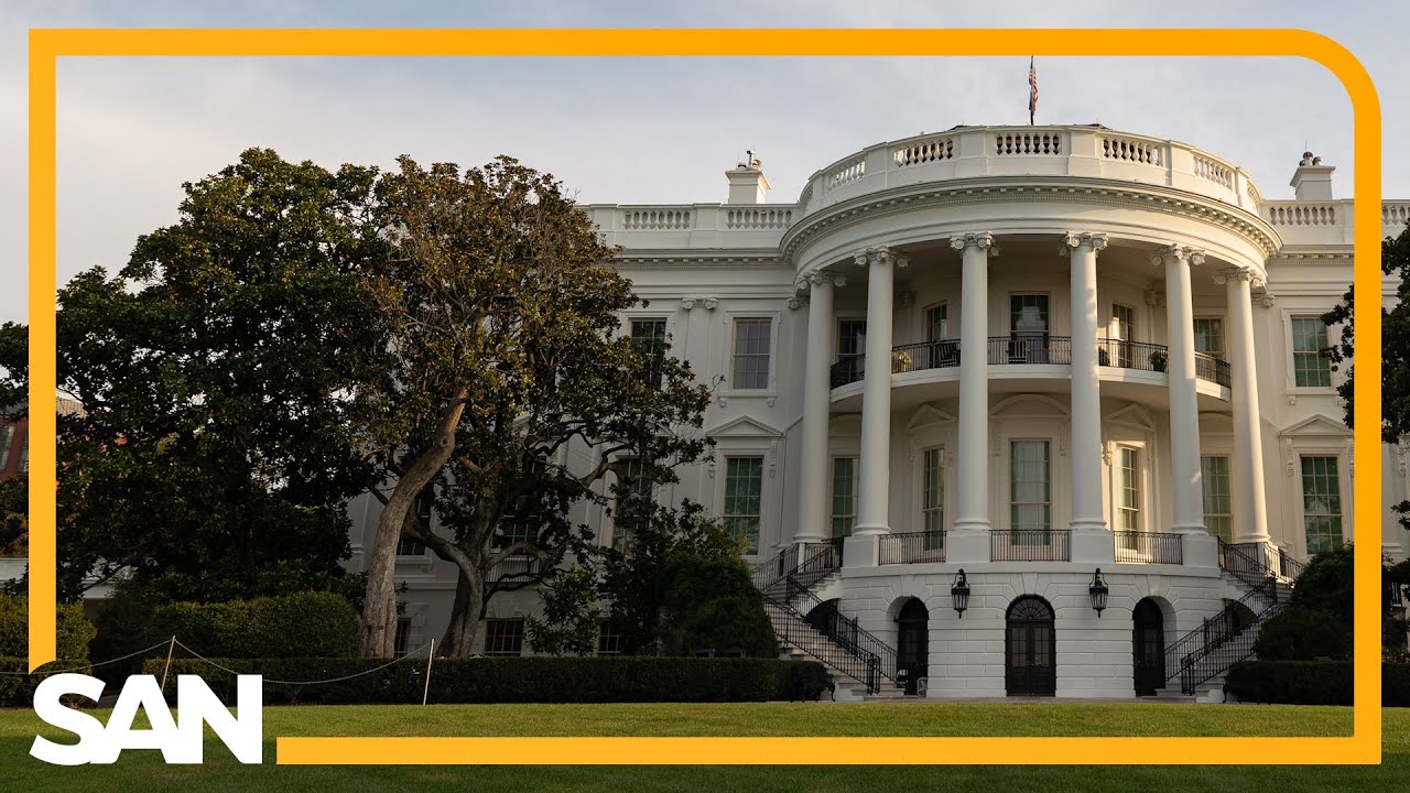 Why is Trump removing the Jackson Magnolia tree from the White House ...