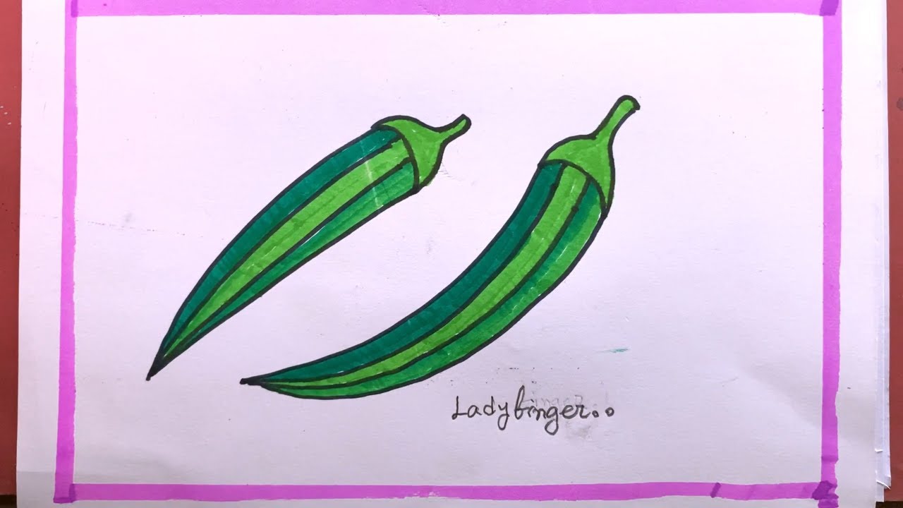 How To Draw Ladies finger/Drawing Ladies finger easy - YouTube