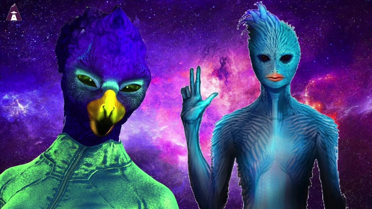 Blue Avians Uzaylı Irkı ve Bize Kattıkları - YouTube
