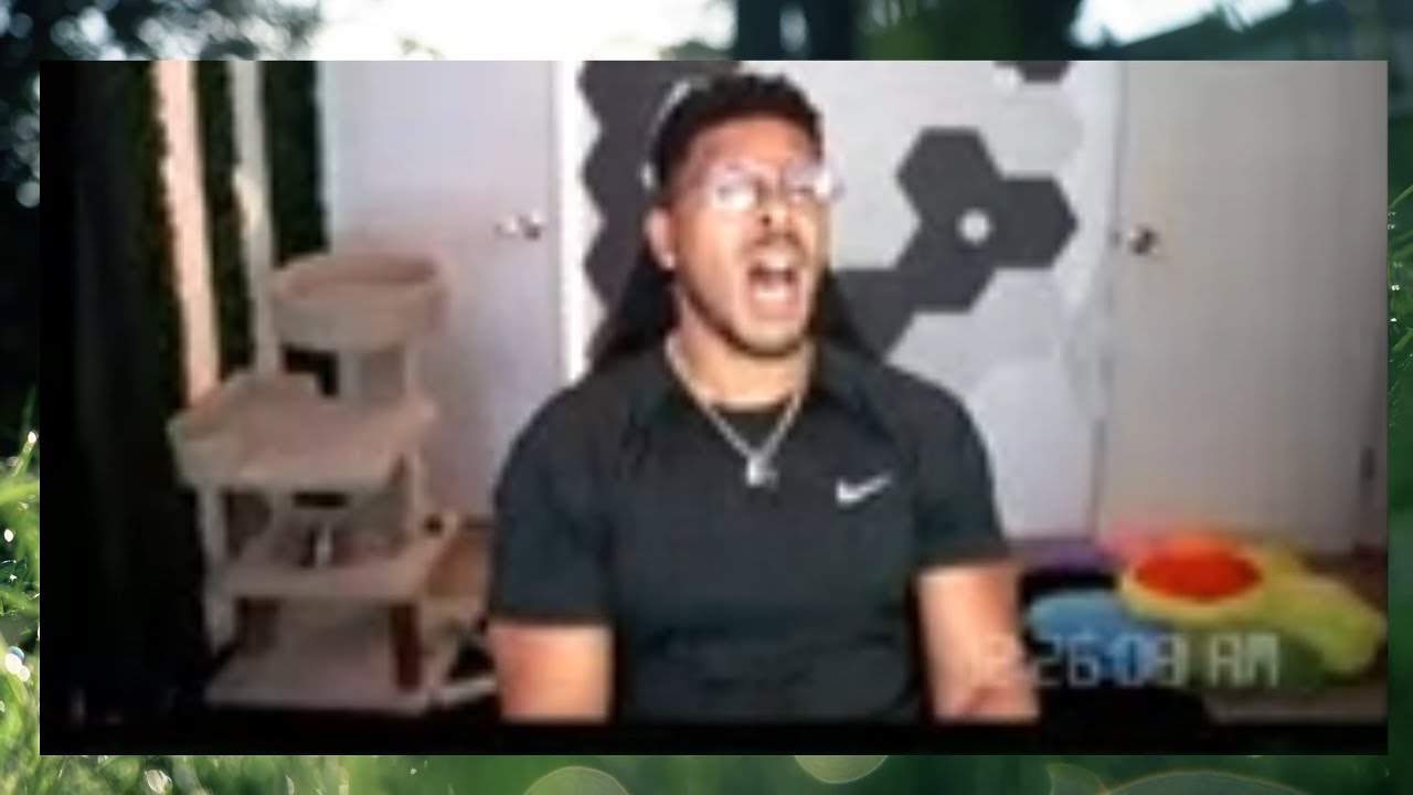 When your cat wants attention, but you're Dale-Low Tier God Stream ...