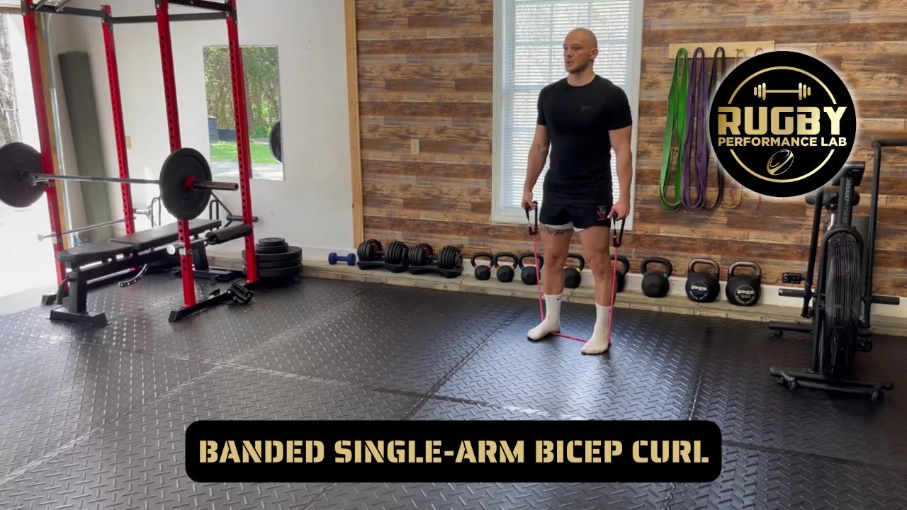 Banded Single-Arm Bicep Curl - Fitness Exercise Library - YouTube