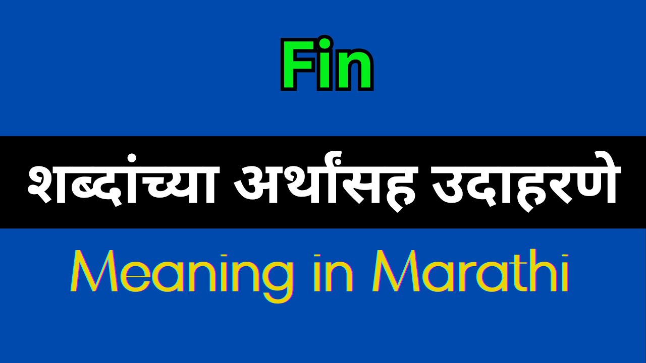 Fin Meaning In Marathi / Fin explained in Marathi - YouTube