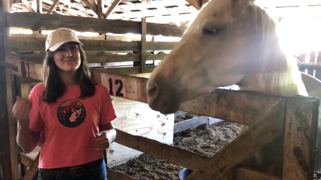 Big Green Tractor ASL - YouTube