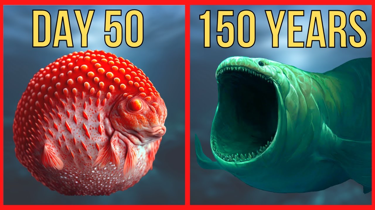 Bloop Evolution | Bloop Life Cycle by Stages - YouTube