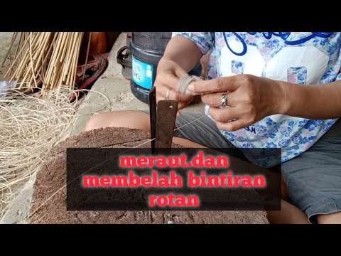 meraut rotan disore hari - YouTube
