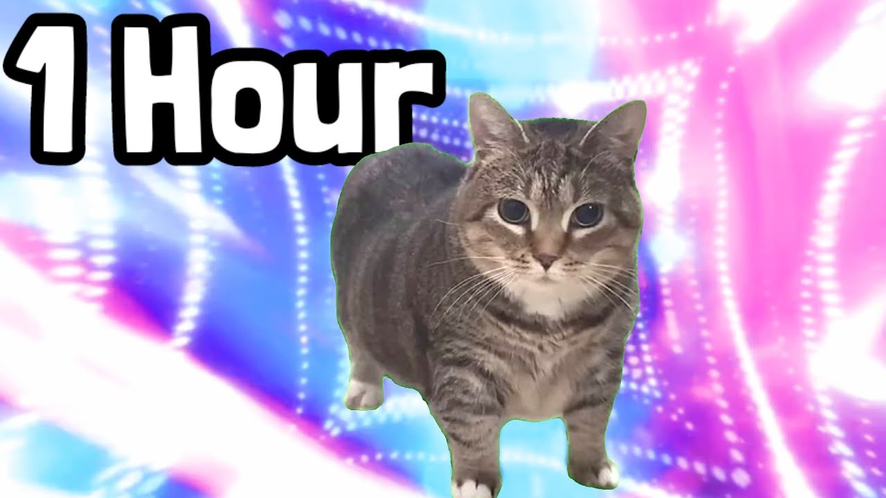 OIIA OIIA (Spining Cat) | 1 Hour Loop - YouTube Music