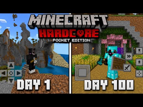 I Survived 100 Days In MCPE 