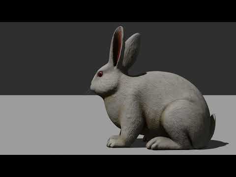 Rabbit gets capped | Blender Animation