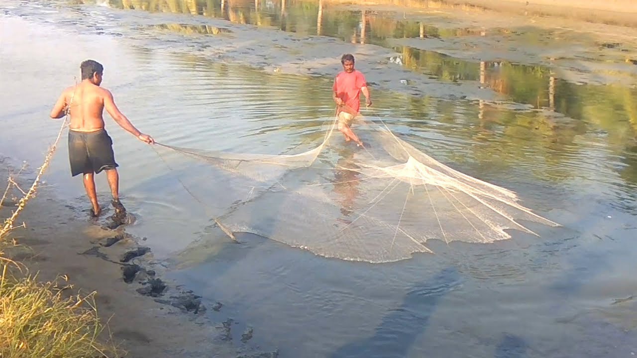 Natural Fish serial "fishing" in canal - Fresh water fishing - Fishing ...
