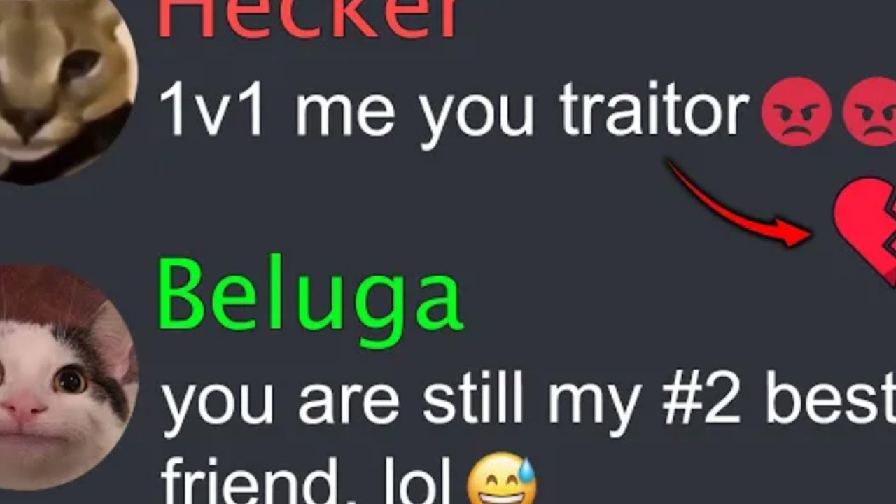 my cat friend his name is hecker - YouTube