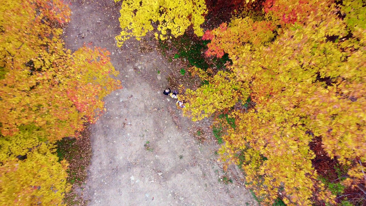 Fall trip to Collingwood - Drone Video (Mavic Mini) - YouTube