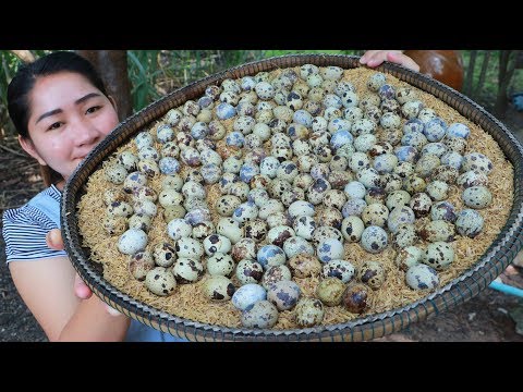 Tasty Quail Eggs Curry Cooking - Cooking With Sros