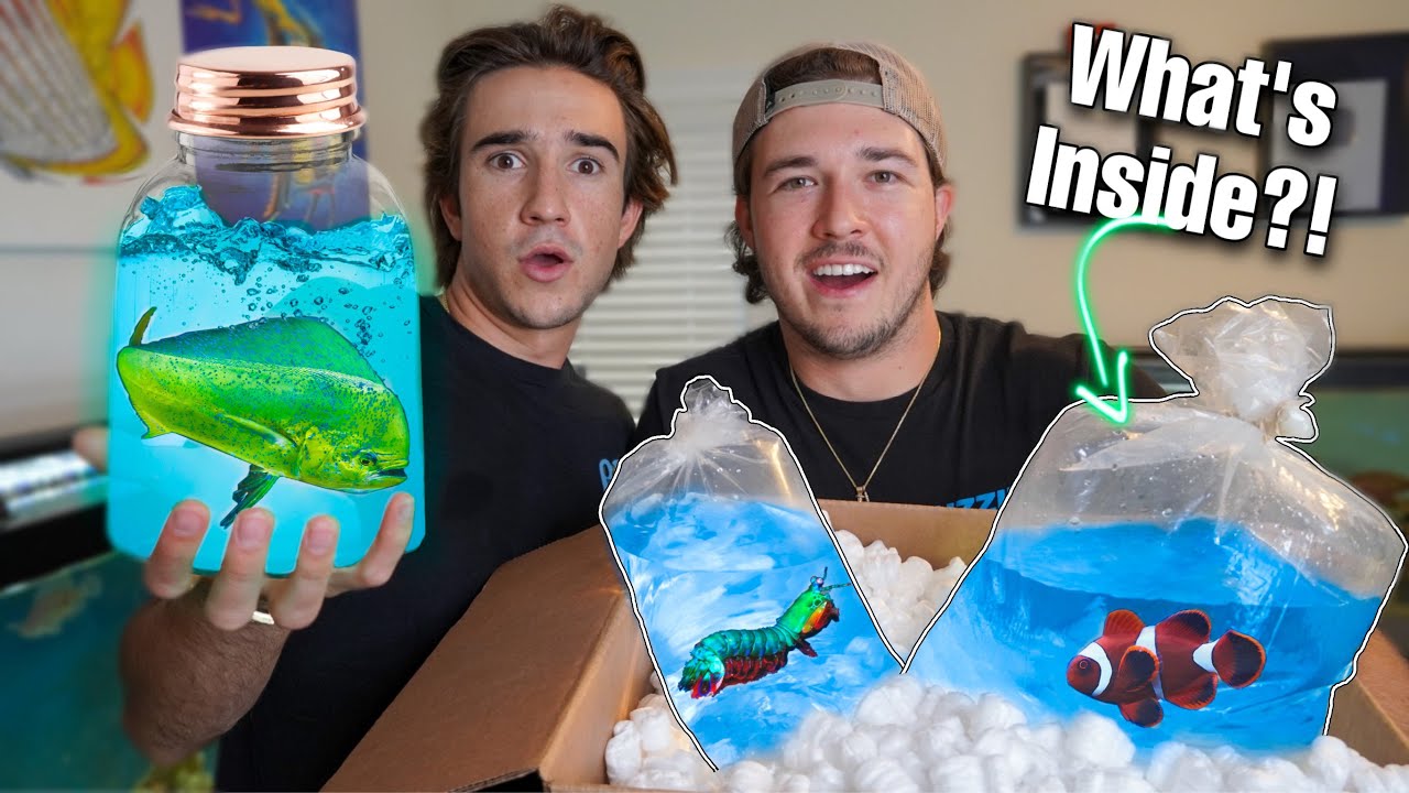 THE BEST MYSTERY FISH BOX I'VE EVER ORDERED... - YouTube