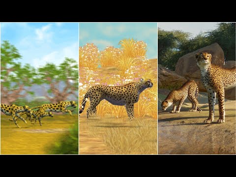 Cheetah: Comparison In 5 Games - YouTube