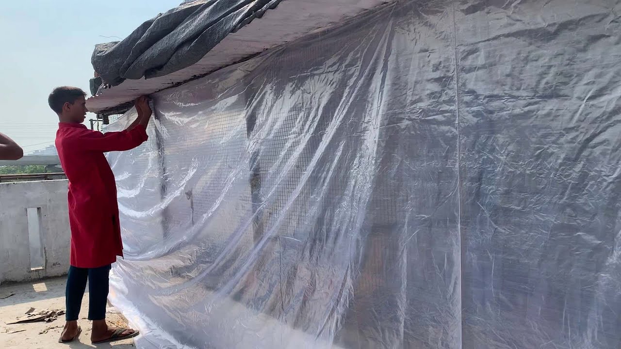 How to Cover Aviary in Winter Time || How to Protect Your Birds in ...