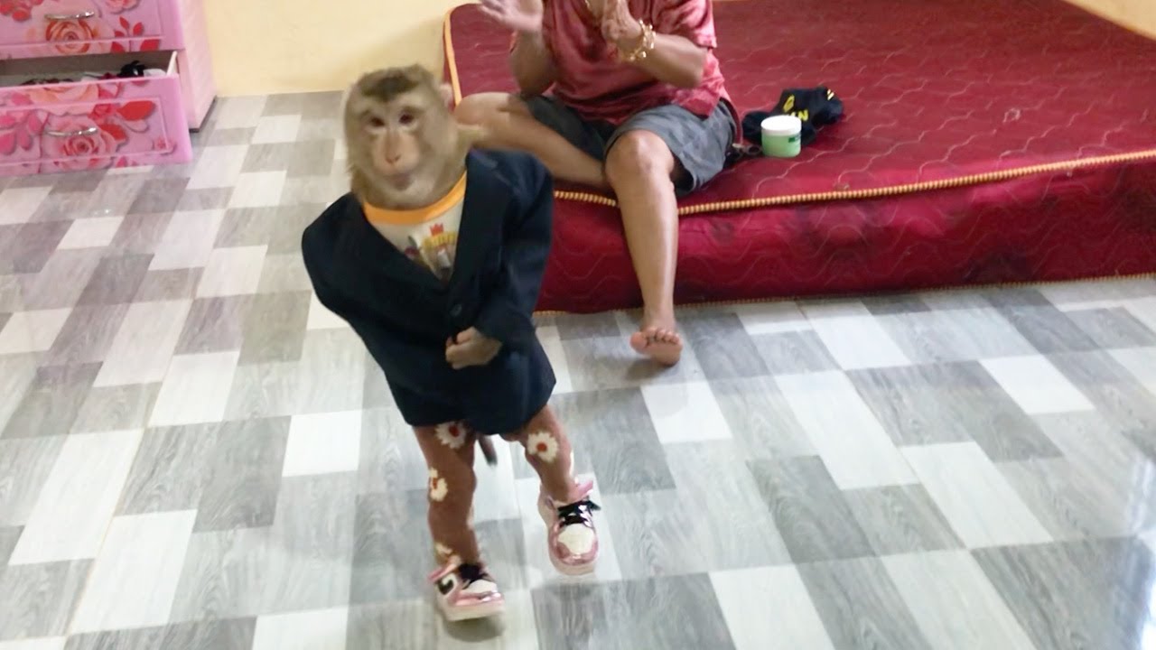 Handsome Jason Walk Back And Forth Shy To Dress Up Clothes Chose By ...