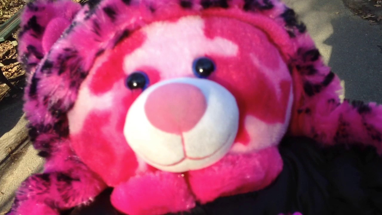 Squirrels🐿, Pinkie in the USA day 4&5 - YouTube