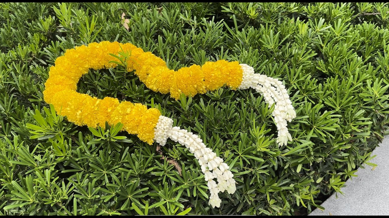 Thai Flower Garland: Hoa Vạn Thọ 💛💛💛 | Ep 12 #garland #hoa # ...