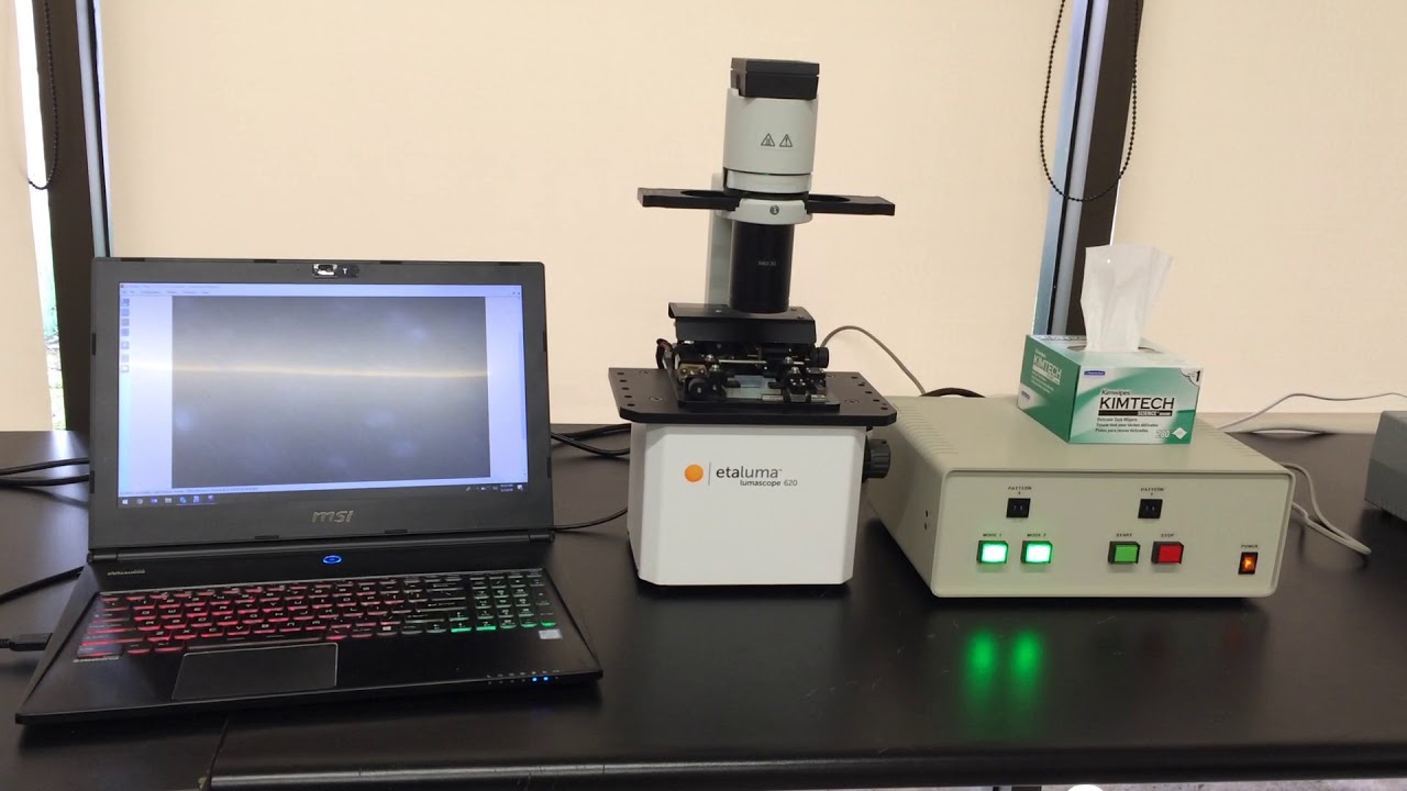 Strex Cell Stretching System on the Lumascope - YouTube