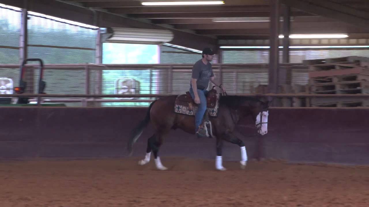 Spooks Gotta Gun - YouTube