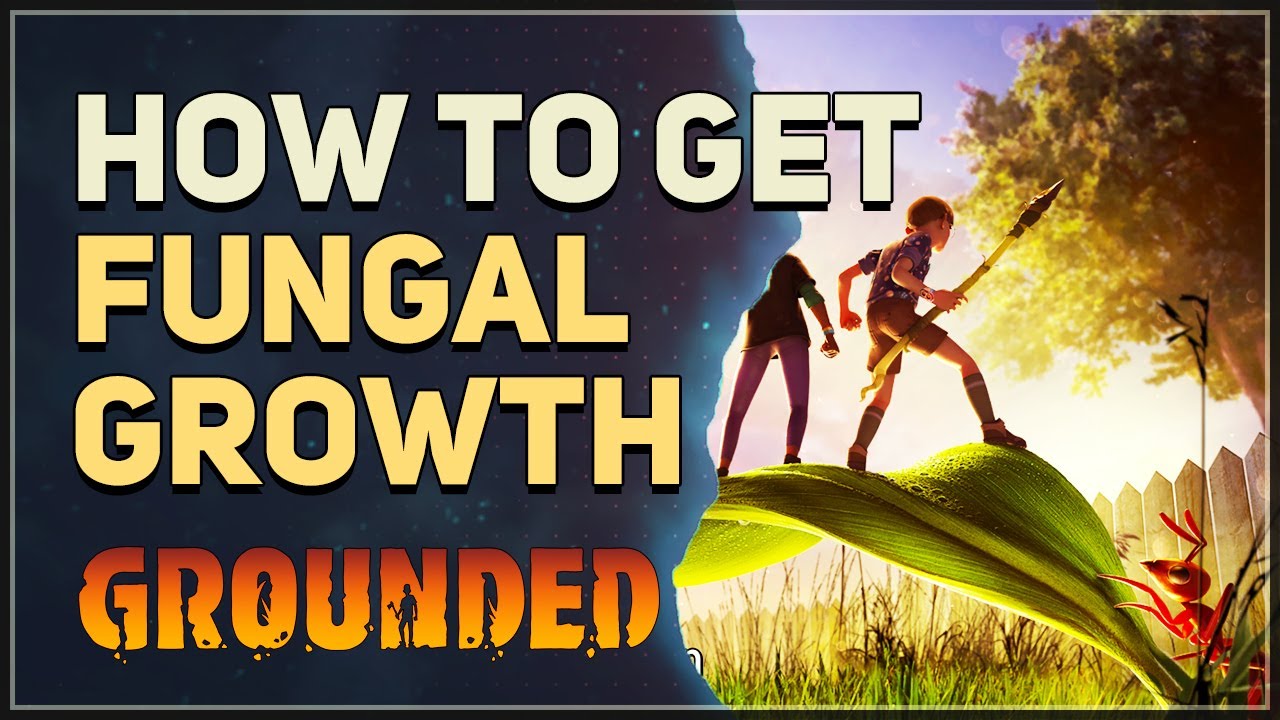 How to get Fungal Growth Grounded - YouTube
