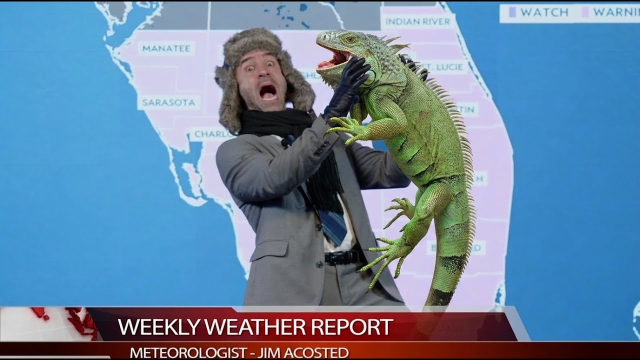Florida Weatherman Declares Apocalypse After Iguanas Fall from the Sky ...