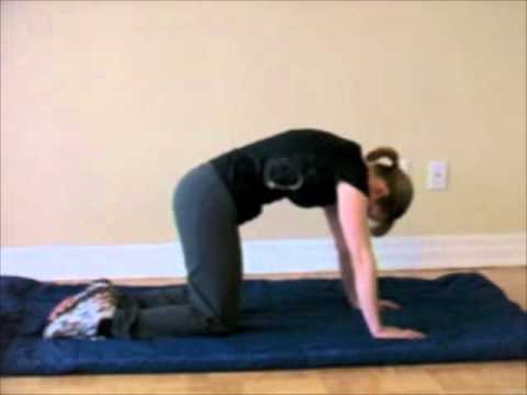 Low Back Rehab Cat & Camel - YouTube