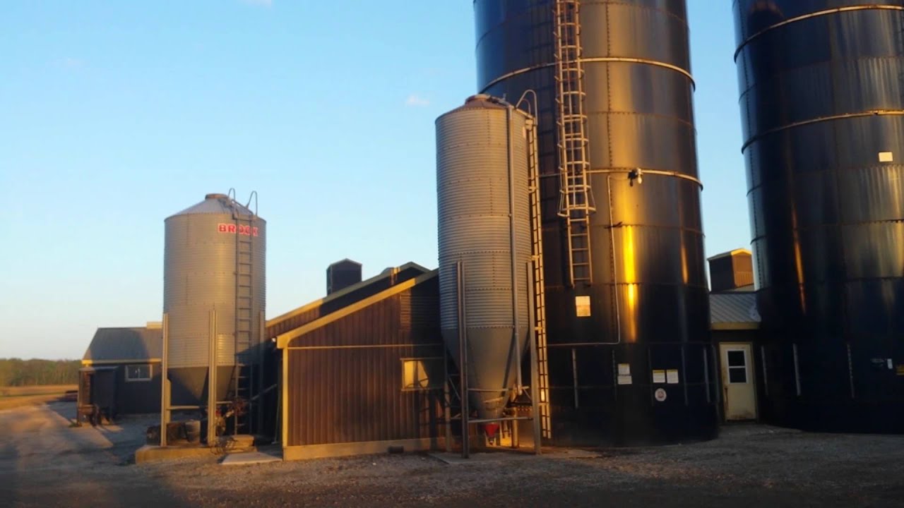 Shadow flicker from wind turbine - YouTube